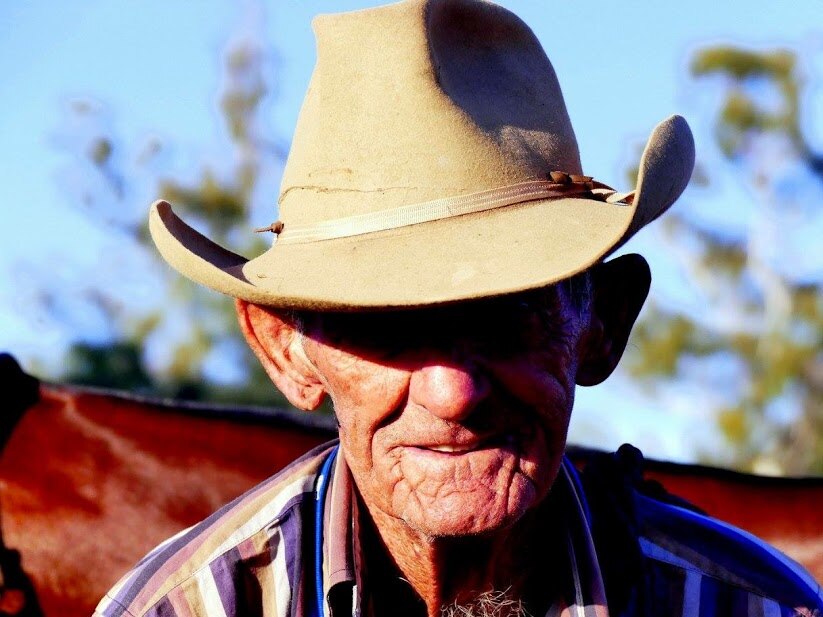 Eidsvold historic cattle drive reignites beef passions - ABC News