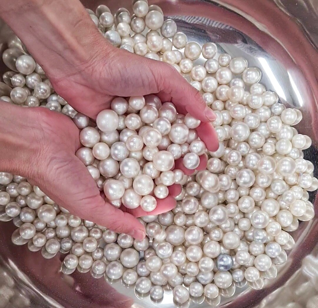 Hannah Murphy - ABC News