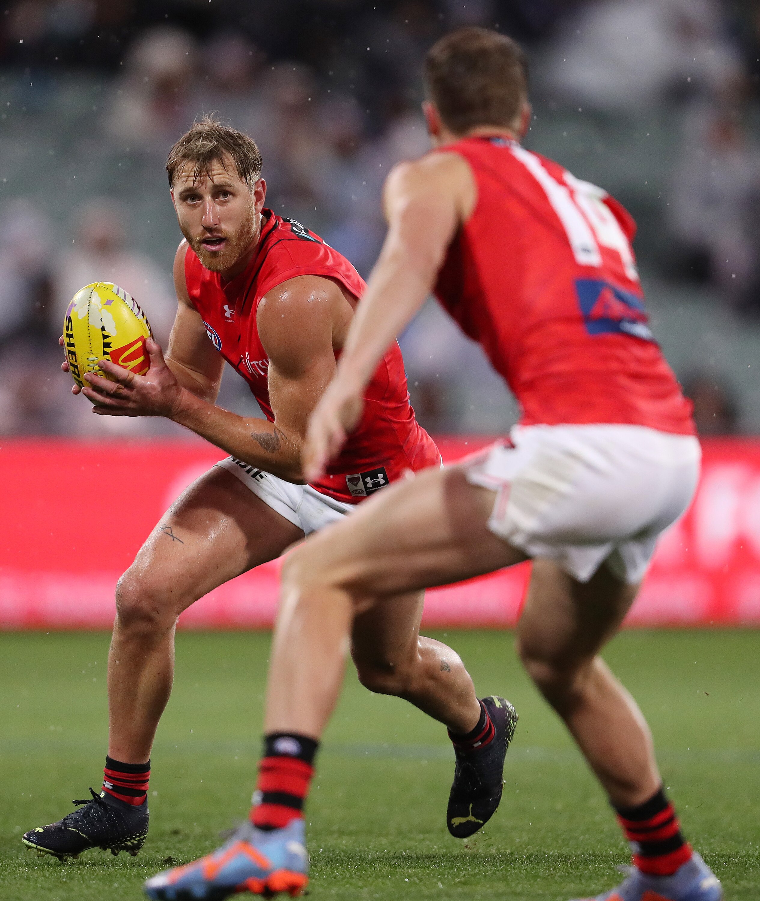 Brad Scott tells Essendon fans to keep the lid on expectations after ...