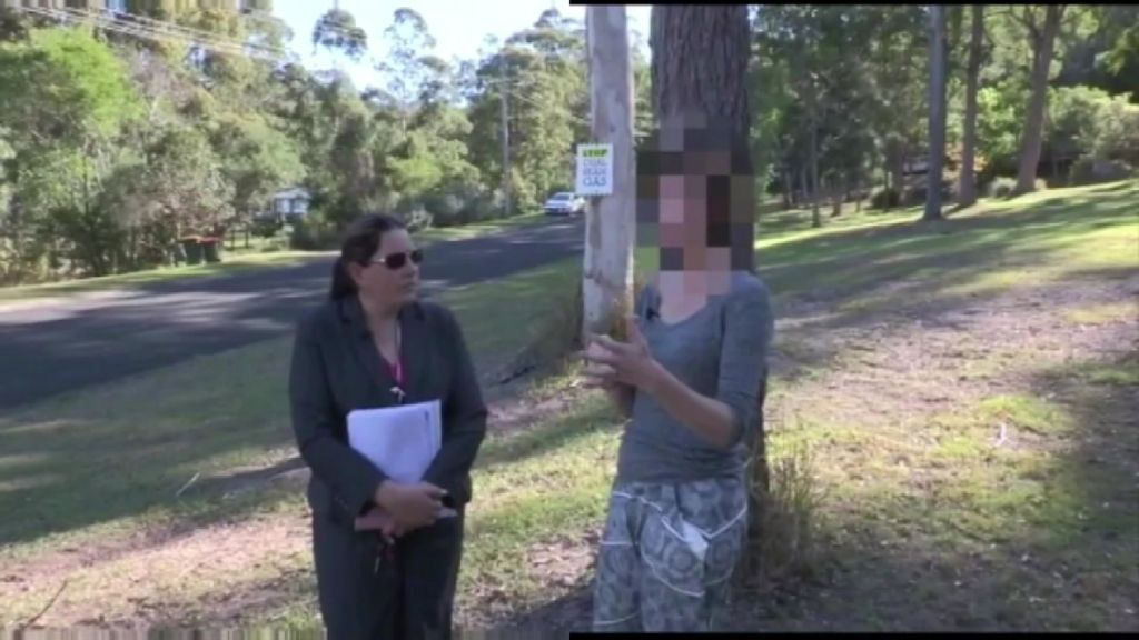William Tyrrell's foster parents give evidence - ABC News