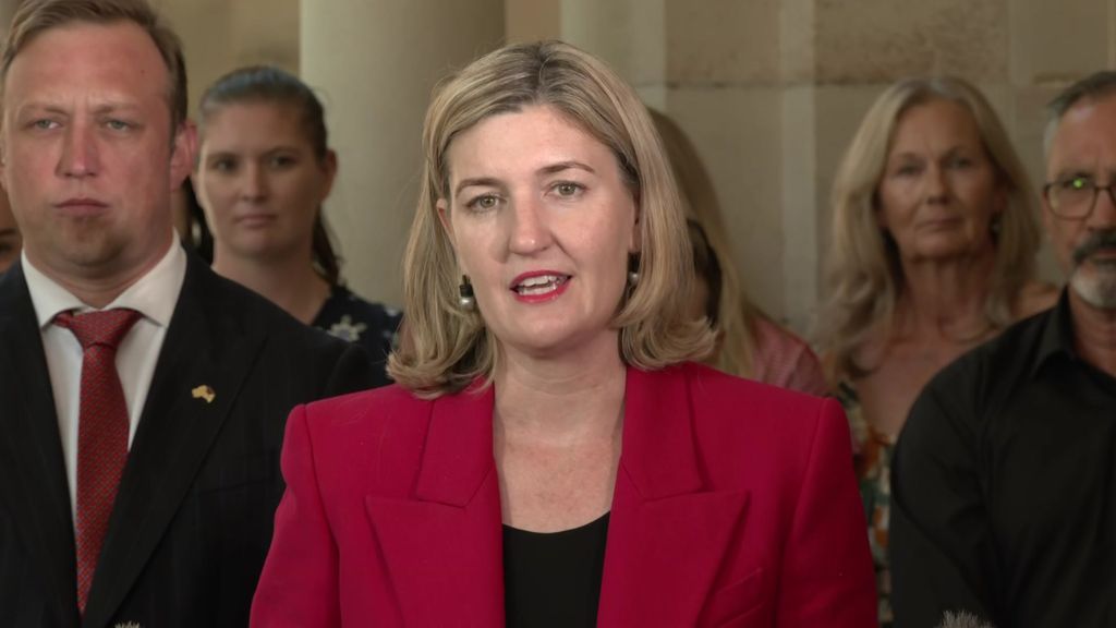 Shannon Fentiman speaking on new coercive control laws - ABC News