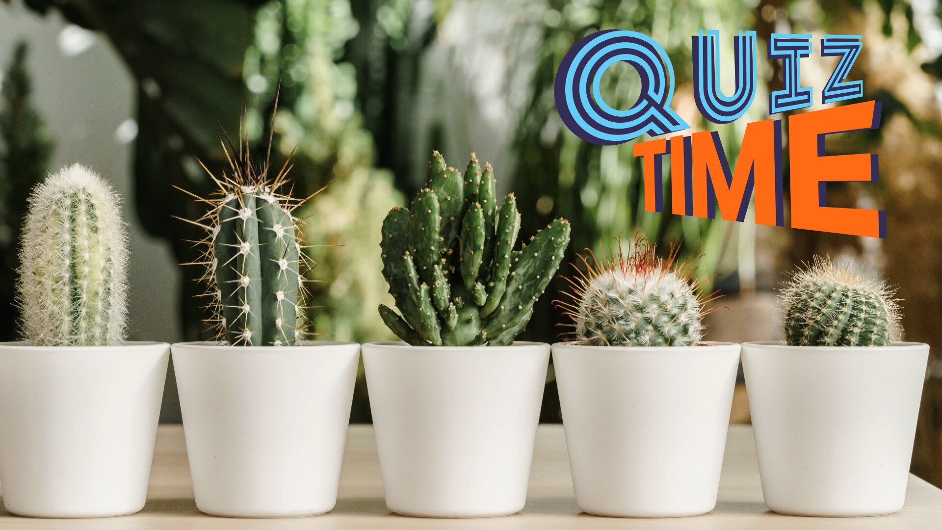 Classroom - Behind The News