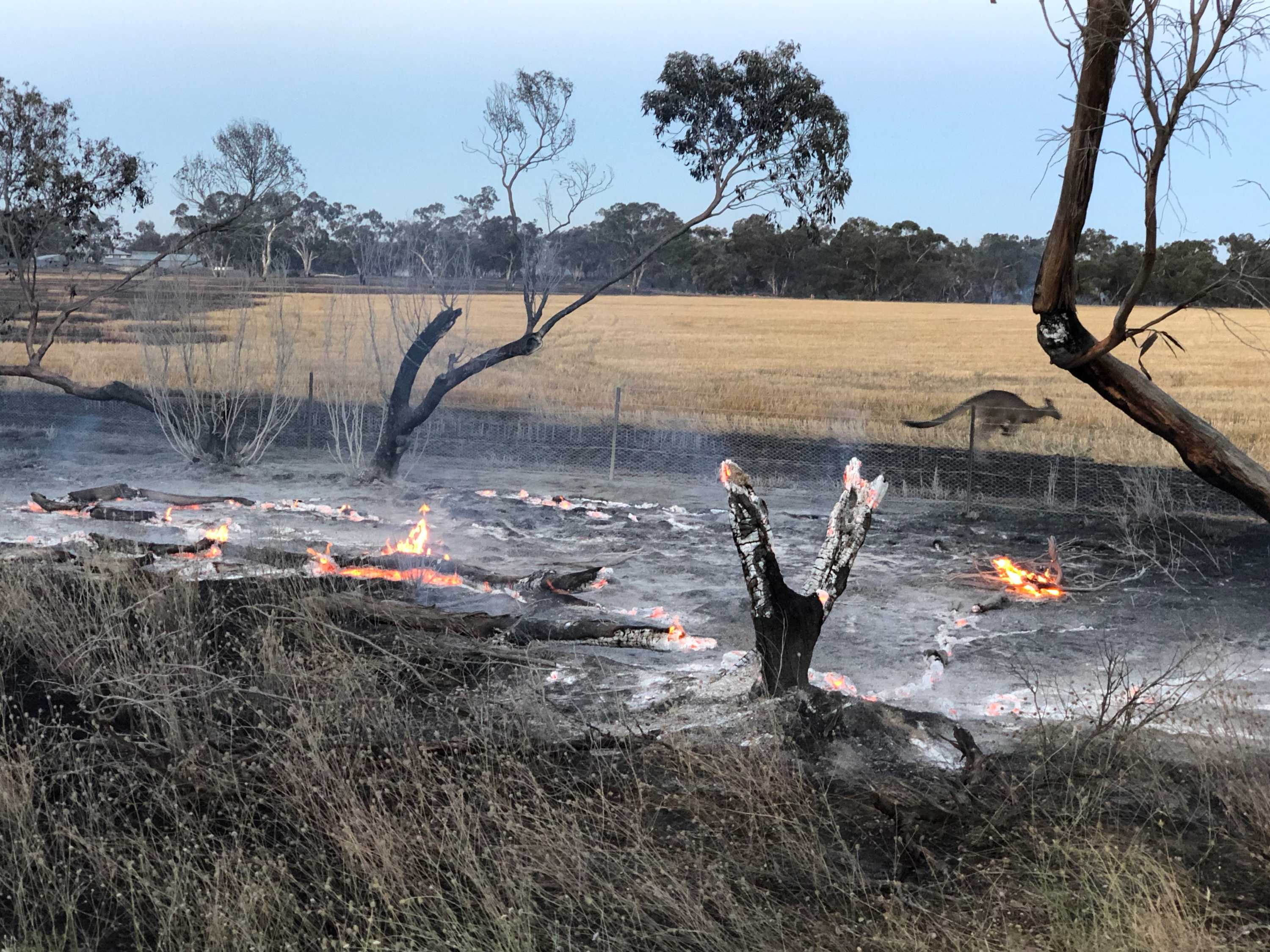 SA fire: Cool change brings relief as Sherwood bushfire downgraded to ...