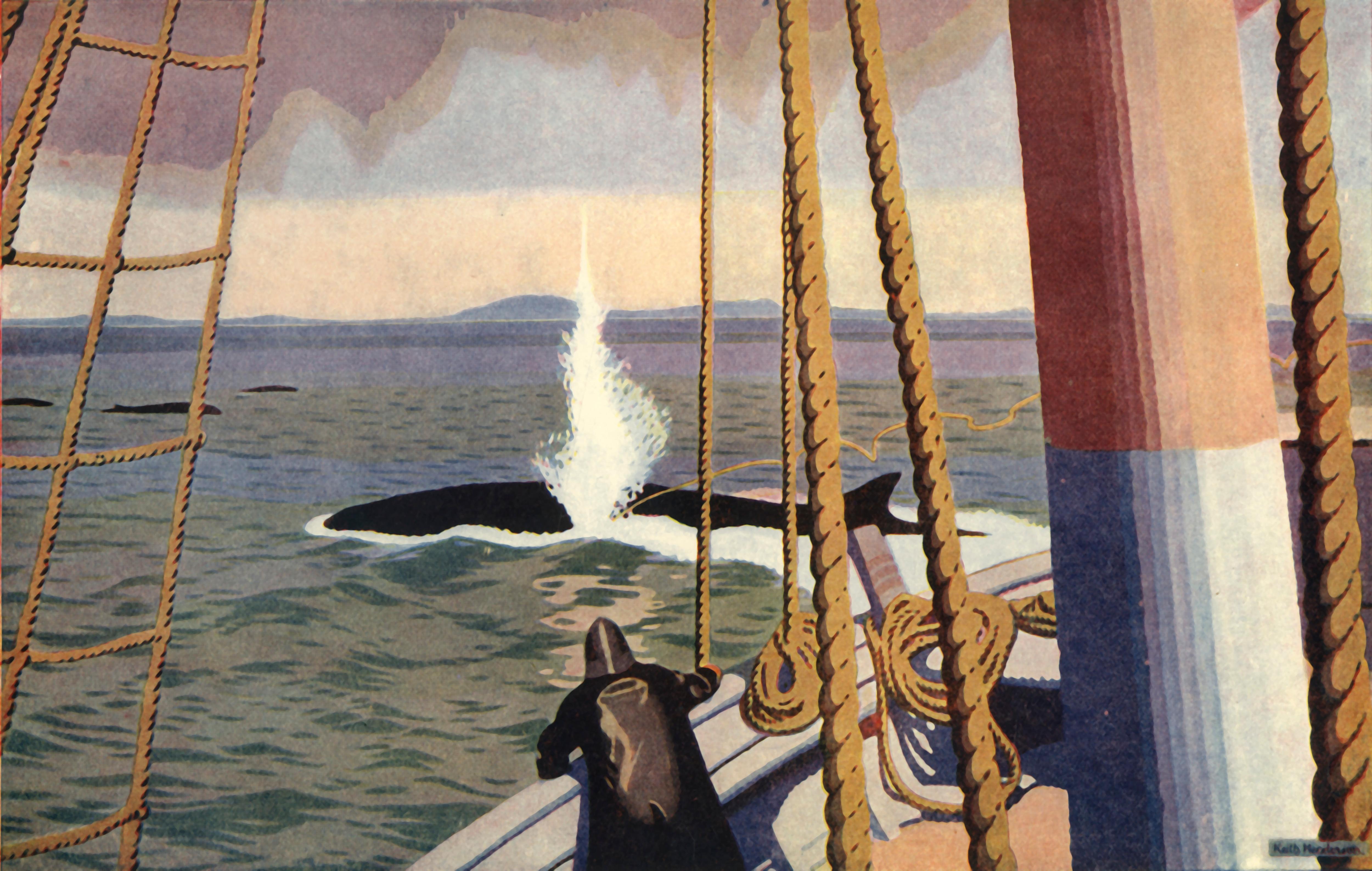 Whalers in the Antarctic - ABC listen