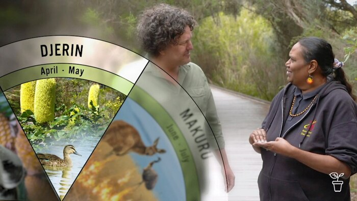 Noongar 6 Seasons - Gardening Australia