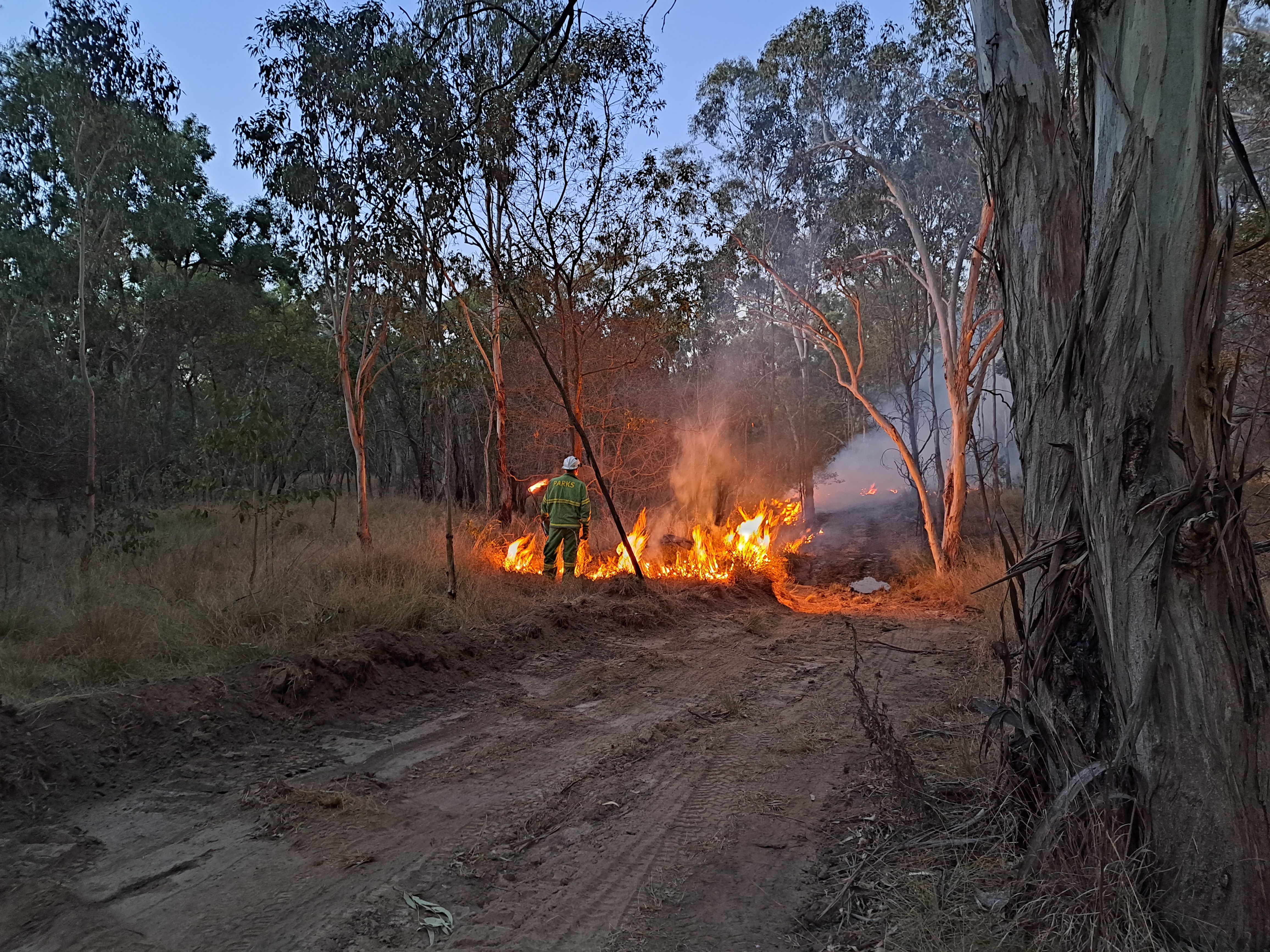 Only months after the state burned, firefighters in Queensland are ...