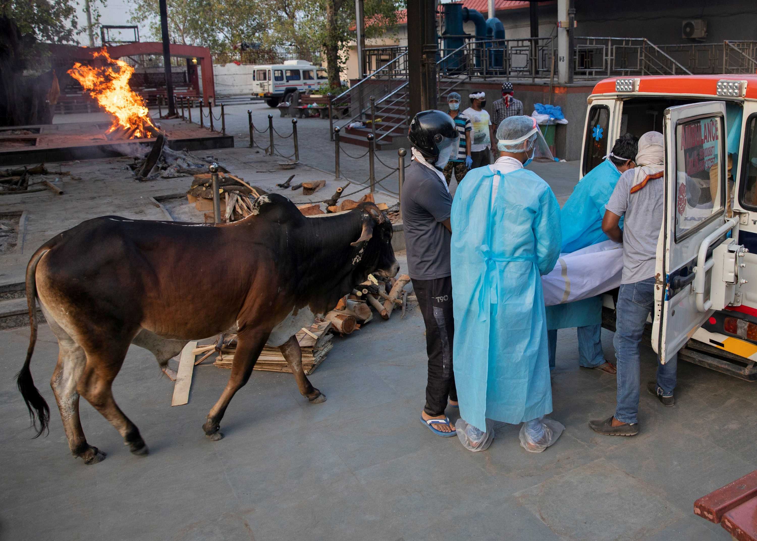 Indian-Australian community leader responds to PM's travel ban - ABC News
