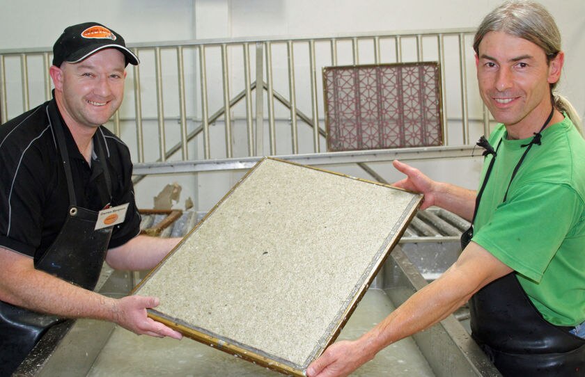 Wombat poo paper launched - ABC News