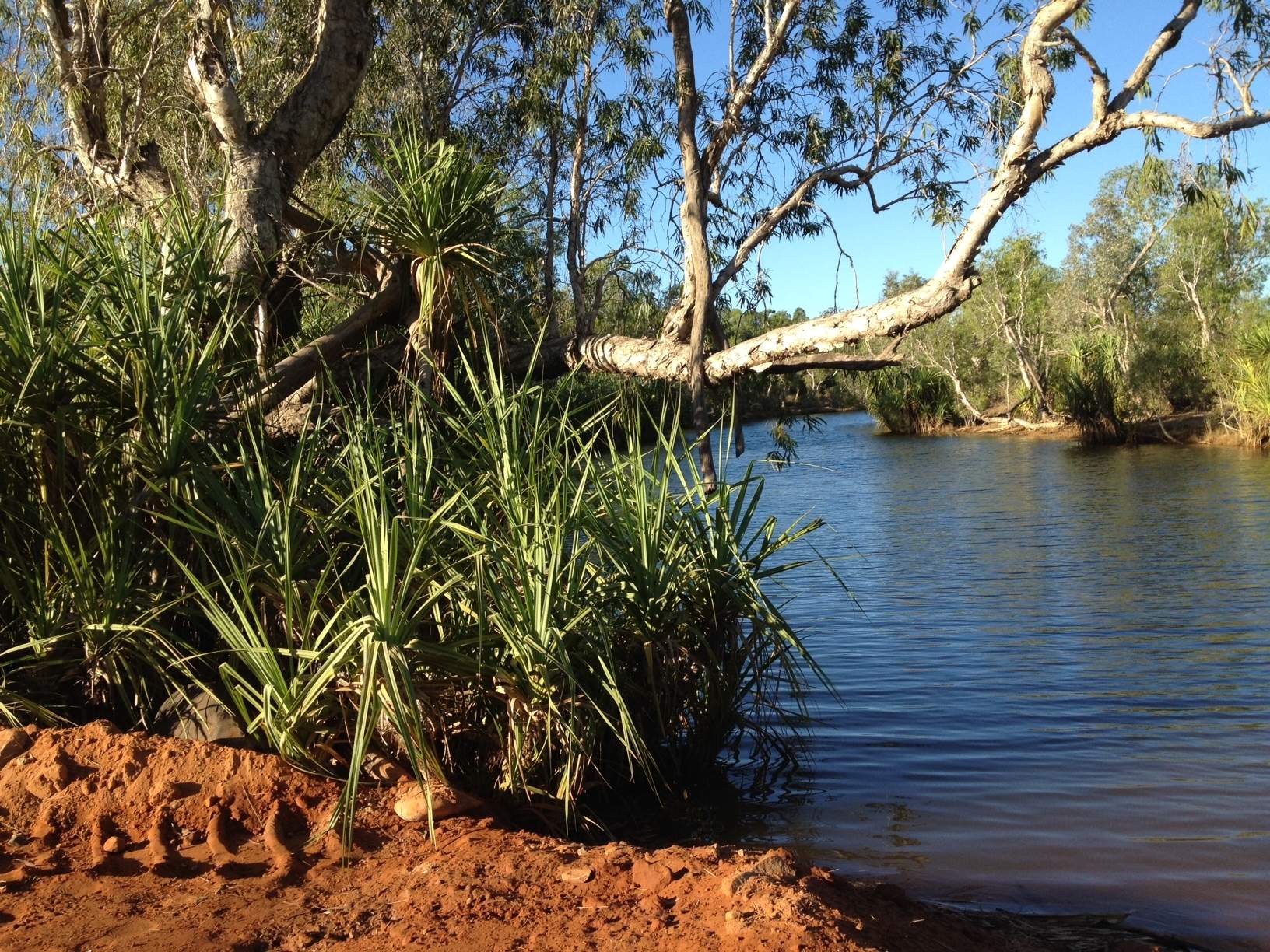 NT Country Hour - ABC listen