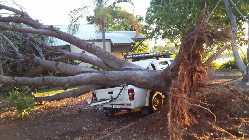 Kununurra storm: Tree crashes onto ute, narrowly missing girl - ABC News