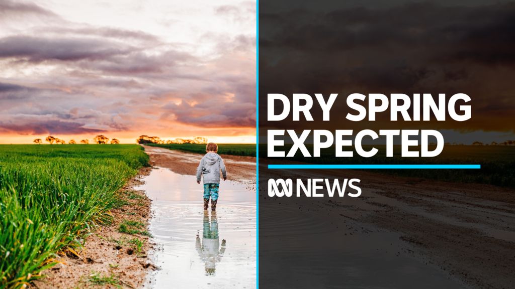 Spring set to be drier than average for most of Australia - ABC News