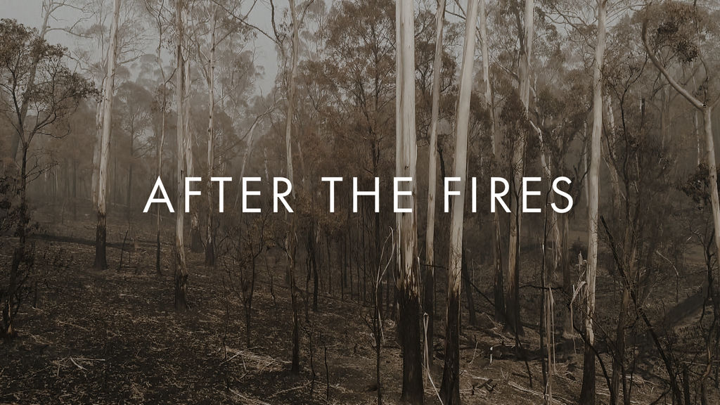 What lessons have we learned from last summer’s bushfires? - ABC News