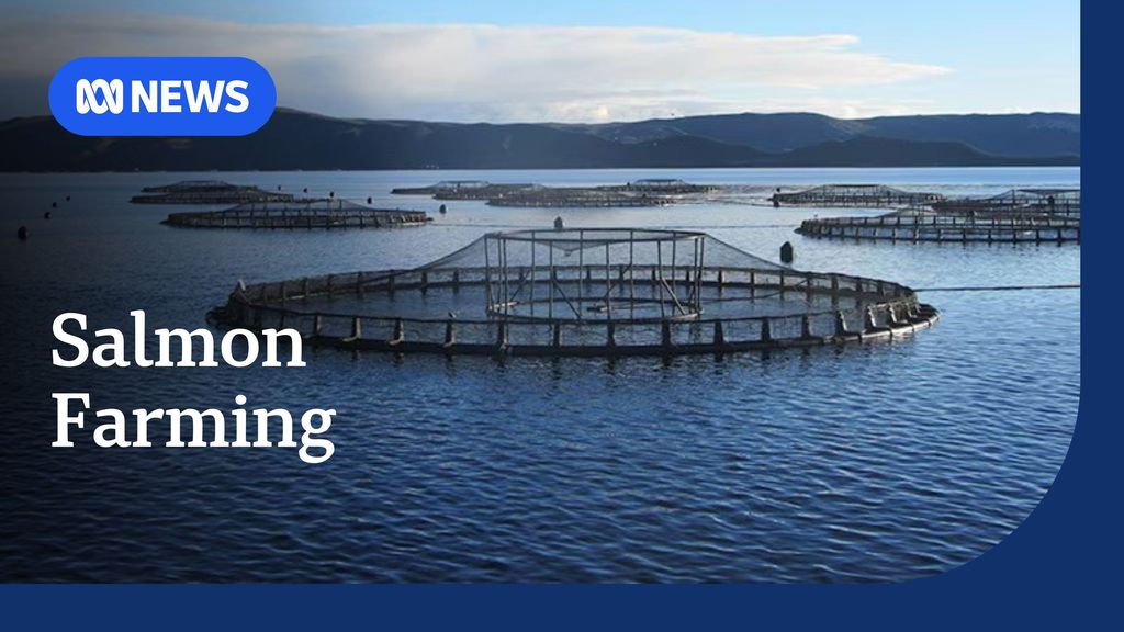 Here are the top stories from ABC News - ABC News