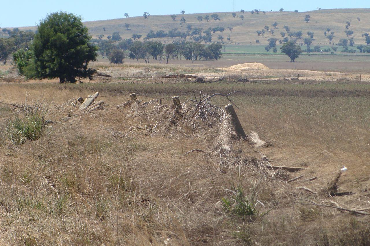 Floods devastate farms - ABC News