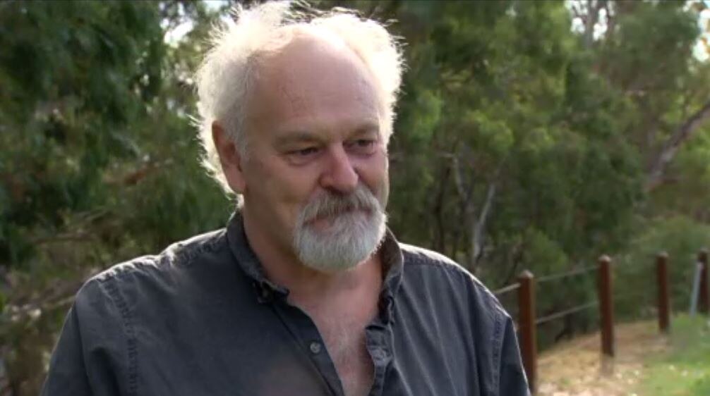 Native Australian microbats could be a natural pest solution for ...