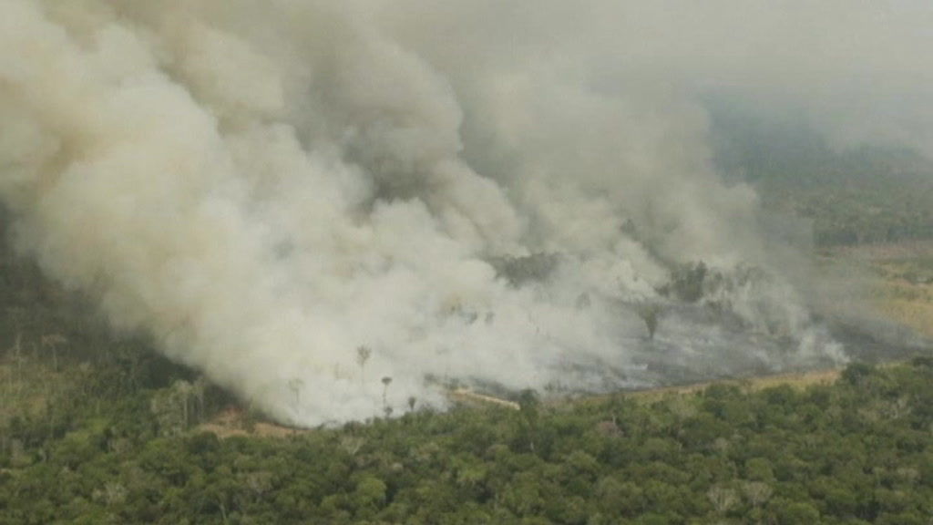 Wildfires continue to rage unabated across Amazon rainforest - ABC News