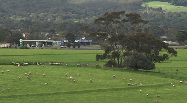 Uni defends Glenthorne Farm housing plan - ABC News