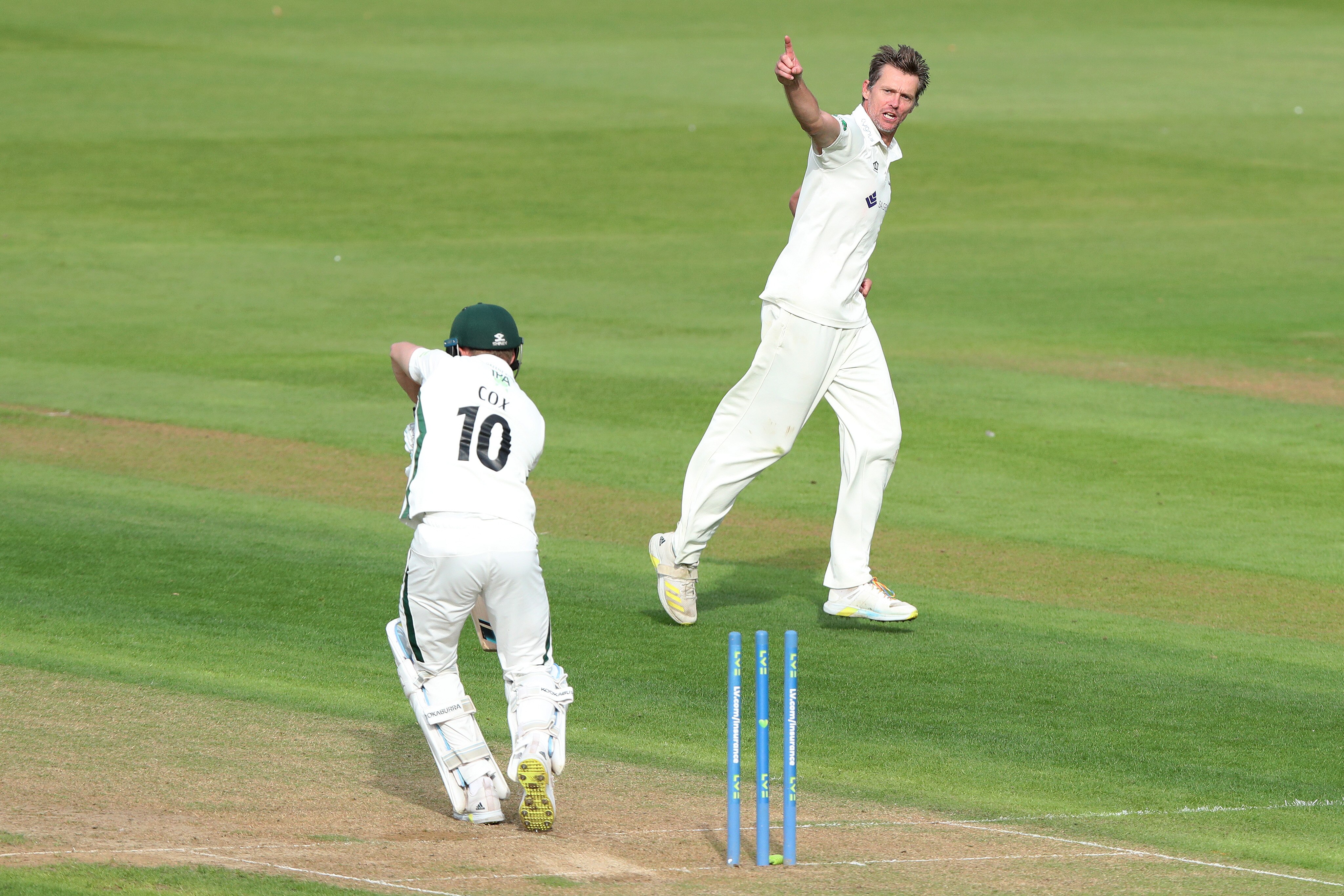 Australian cricketer Michael Hogan wraps up his career at 41 for ...