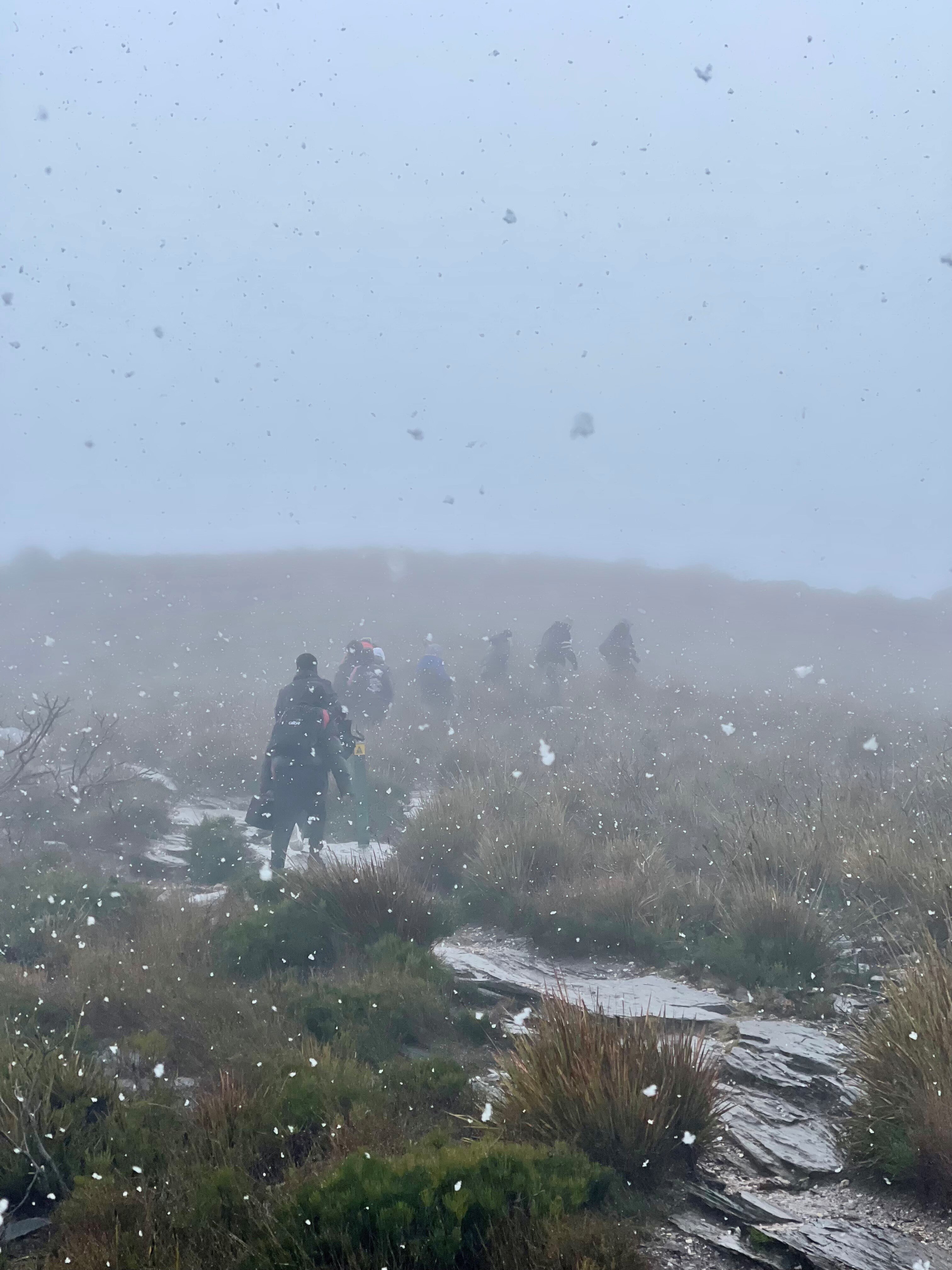 Snow falls in Stirling Range National Park as a cold snap hits Western ...