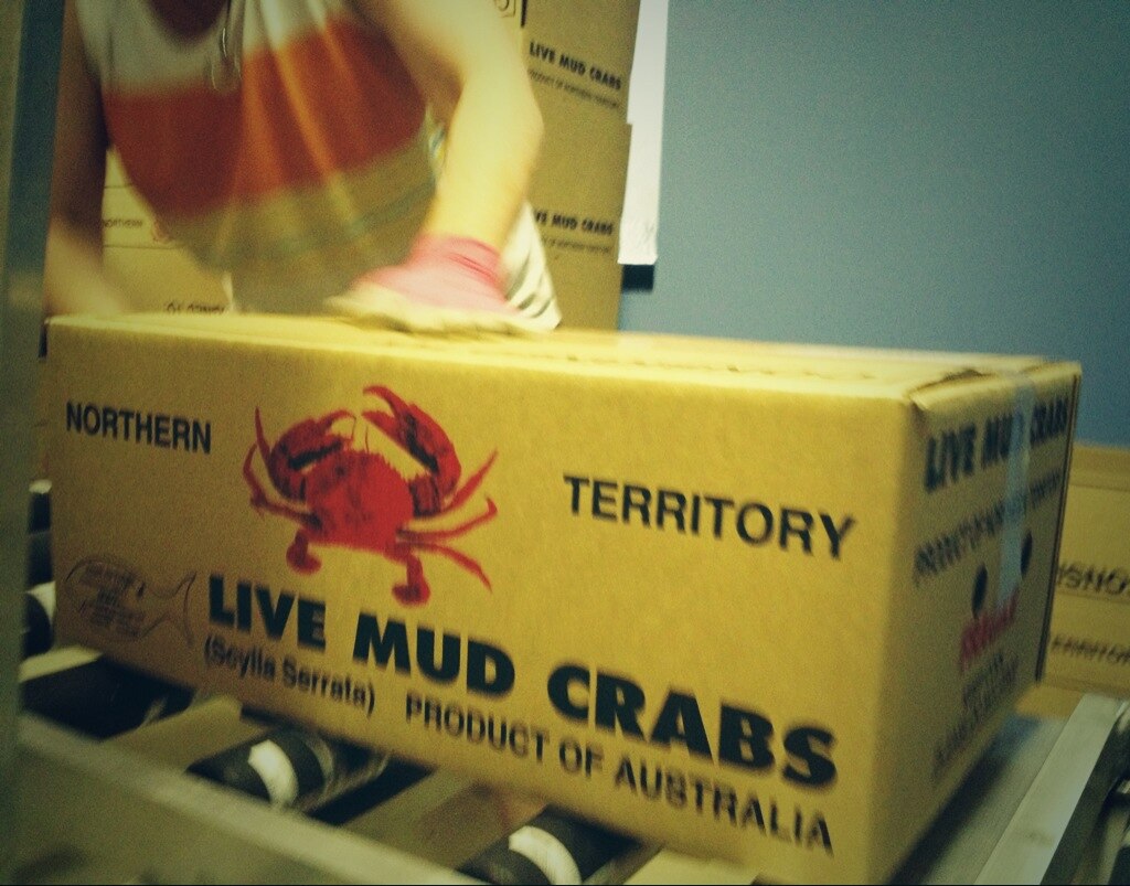 Northern Territory mud crabs flown to Macau - ABC listen