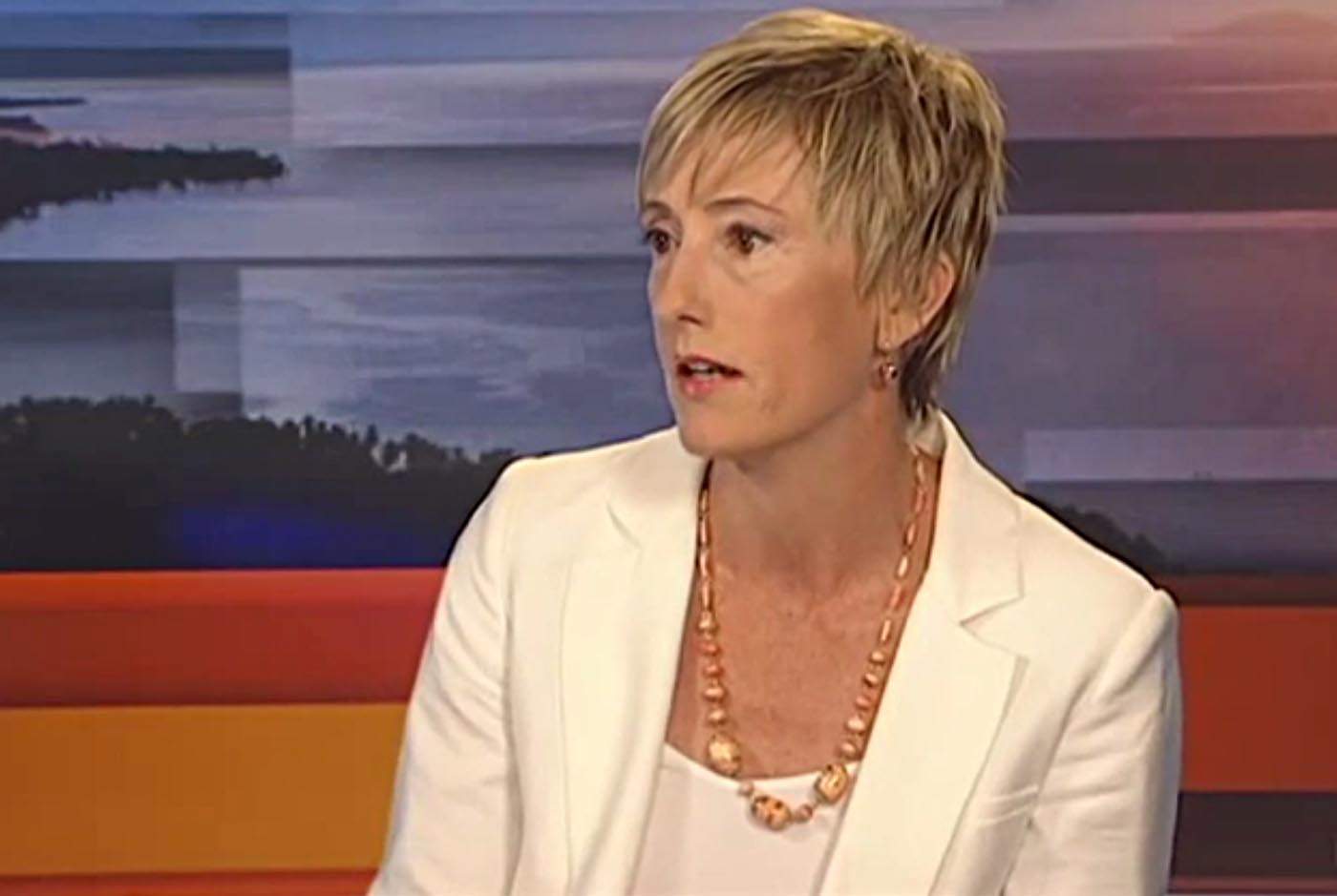 Janette Dines resignation: Chief executive of royal commission into ...