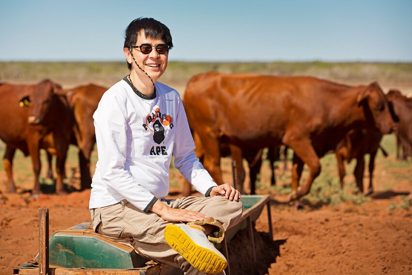 Wagyu giant Pardoo Beef Corporation subleases former Leopold Downs, Fairfield Station cattle ...