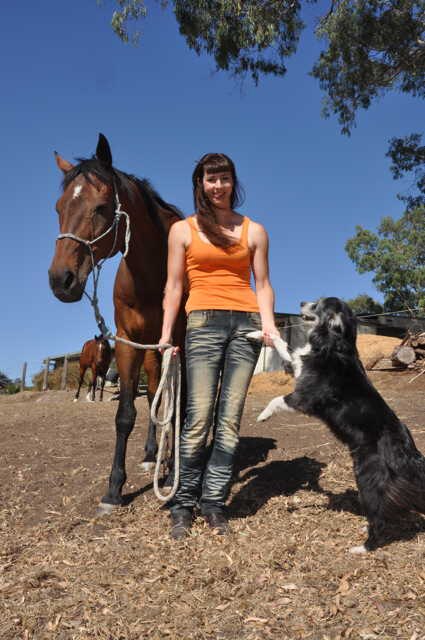 Horses and healing - ABC listen