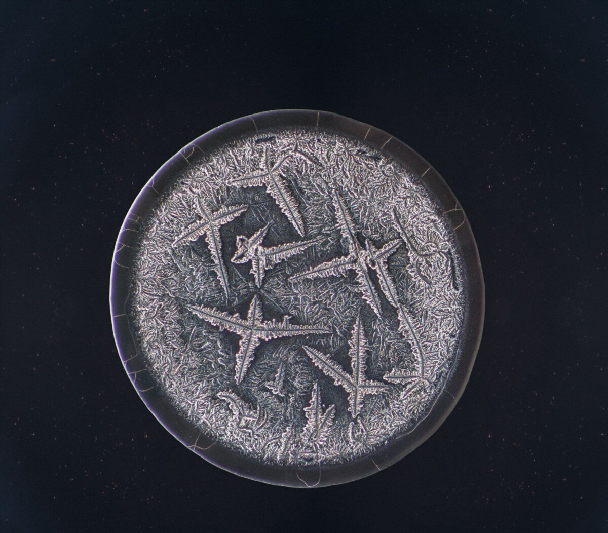 Dutch photographer Maurice Mikkers studies the beauty and emotion ...