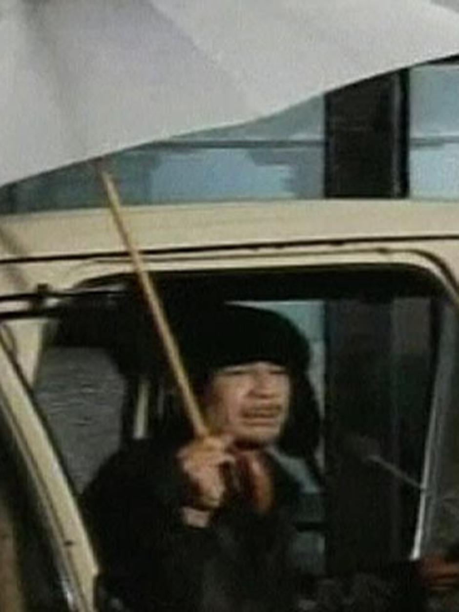 Raging Gaddafi orders forces to 'capture the rats' - ABC News