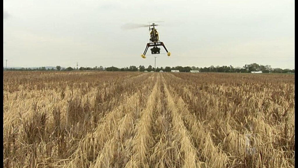 Lighter footprint - ABC News