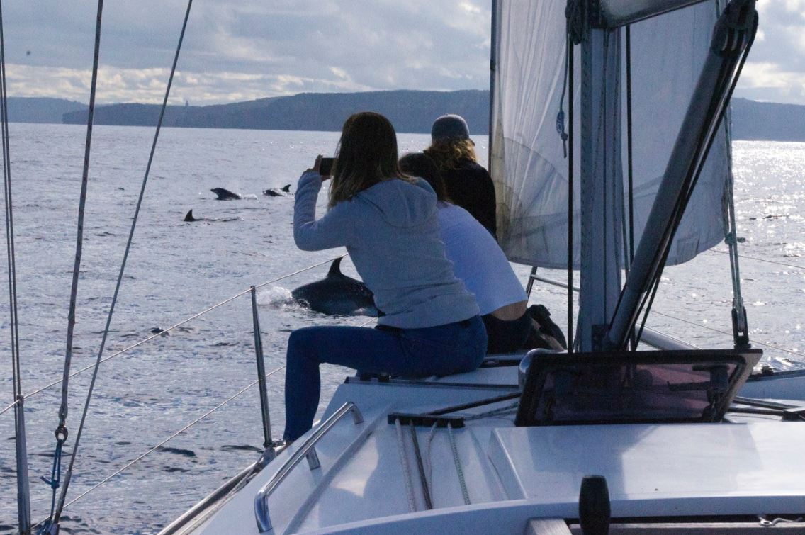 Out of the blue: The healing power of the sea - ABC News