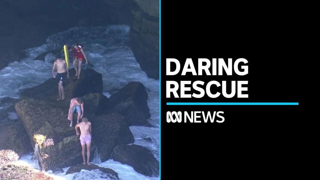 Teenage lifeguard rescues boys from coastal cave - ABC News