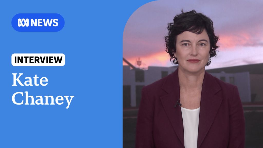 Bill to criminalise AI child abuse apps to be introduced by Kate Chaney ...