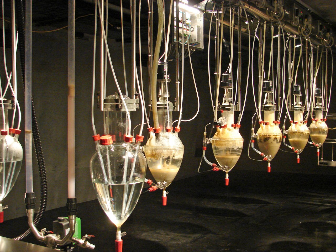 How MONA's 'poo machine' became enlisted in the fight against bowel ...