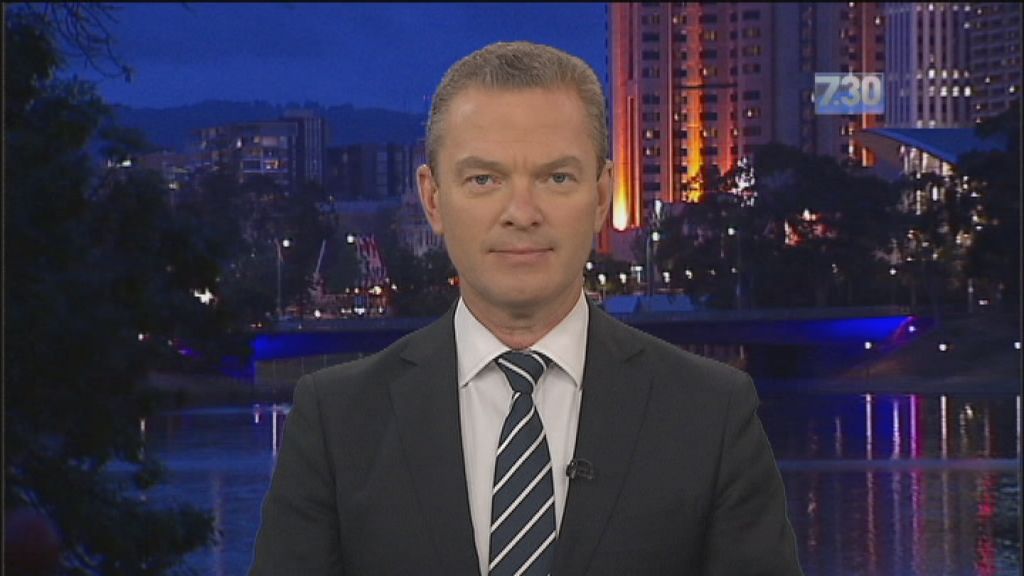 Christopher Pyne says falling results demand school curriculum review ...