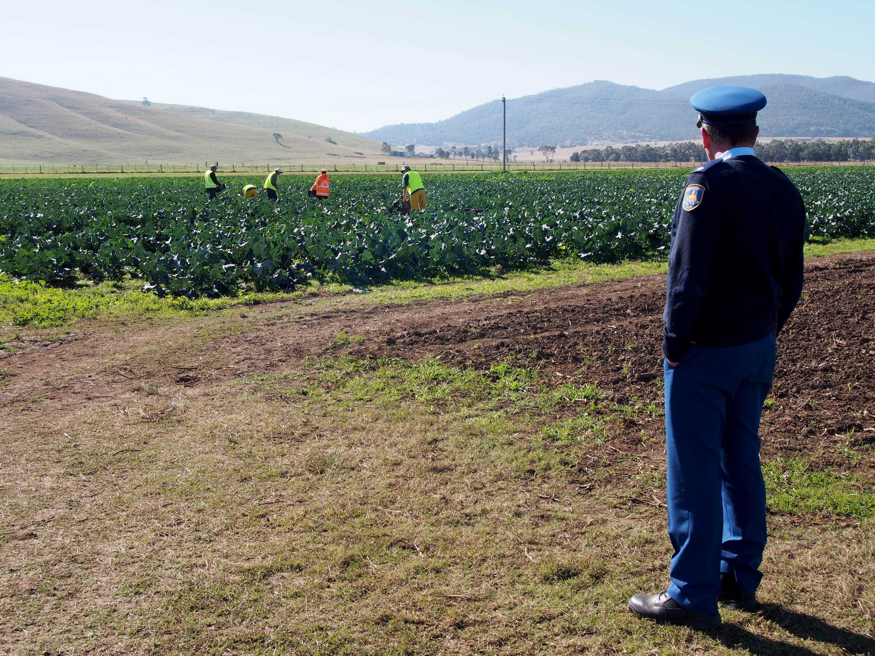 Self-sufficient prisons: NSW inmates grow their own food, saving ...