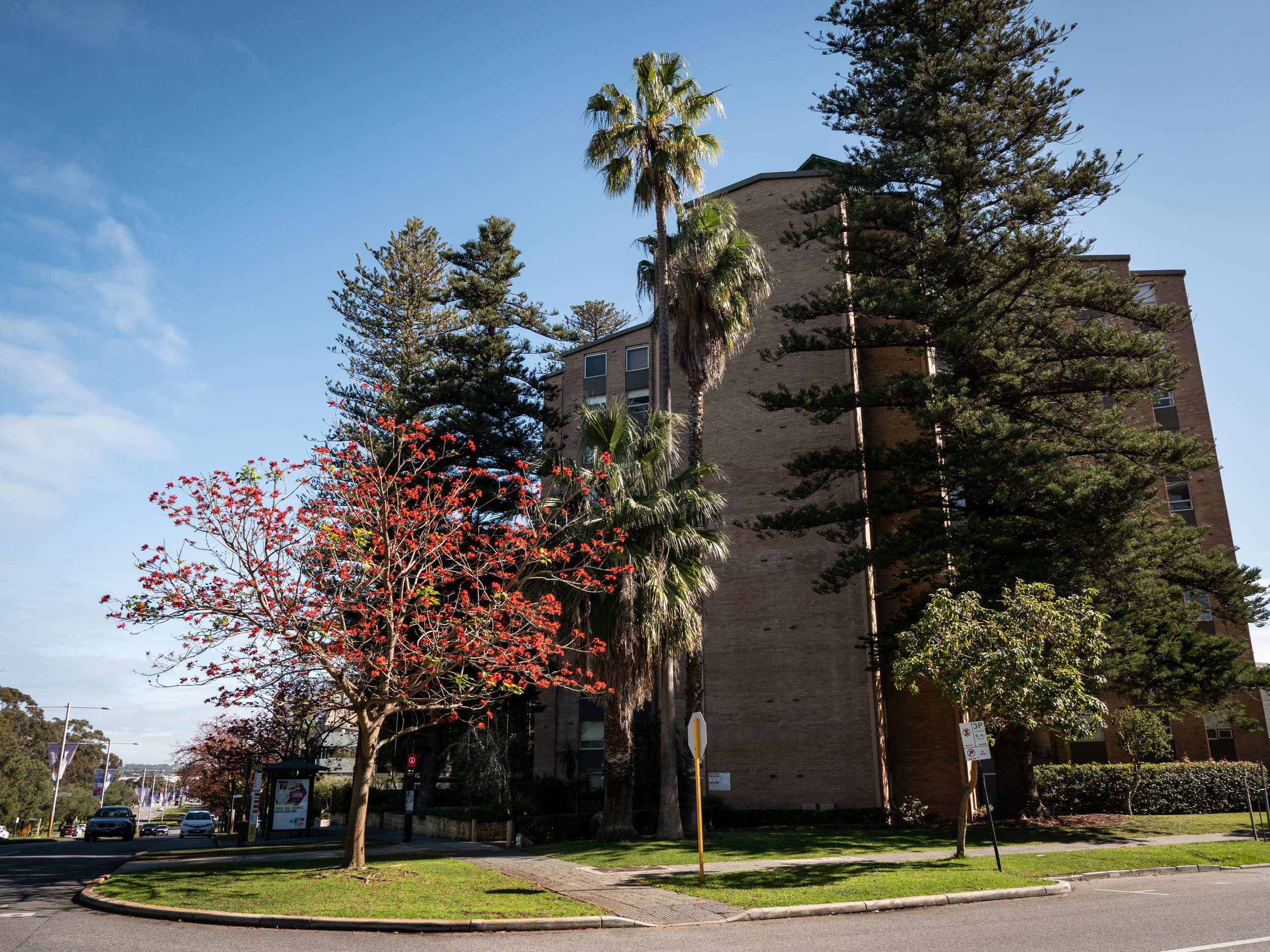 Detailed hand-drawn maps allow Perth residents to see their homes 100 ...