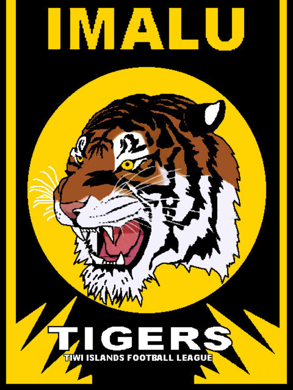 Tigers claim 17th premiership on Tiwi Islands - ABC News