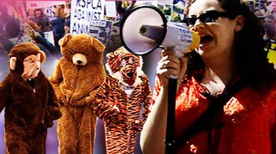 Animal Rights - Behind The News