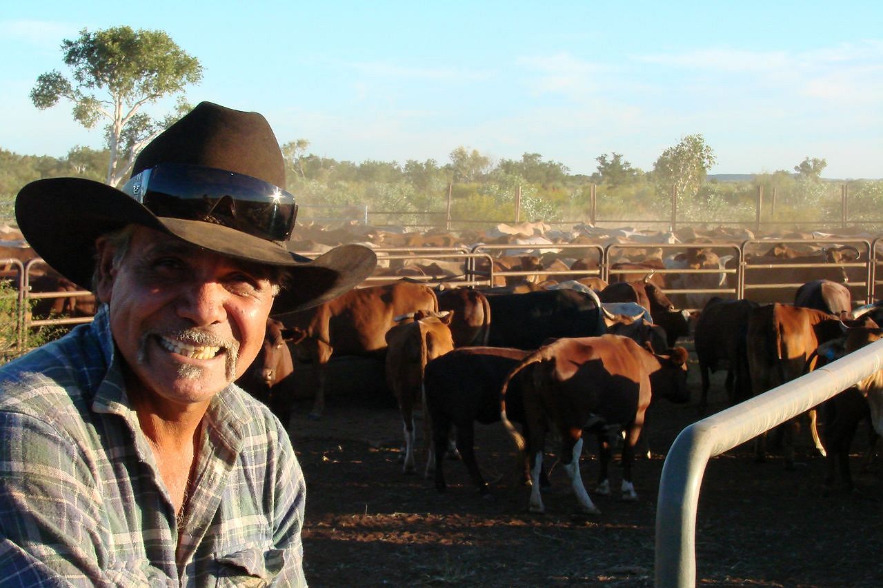 Dirt Dynasties: Bohemia Downs - ABC News