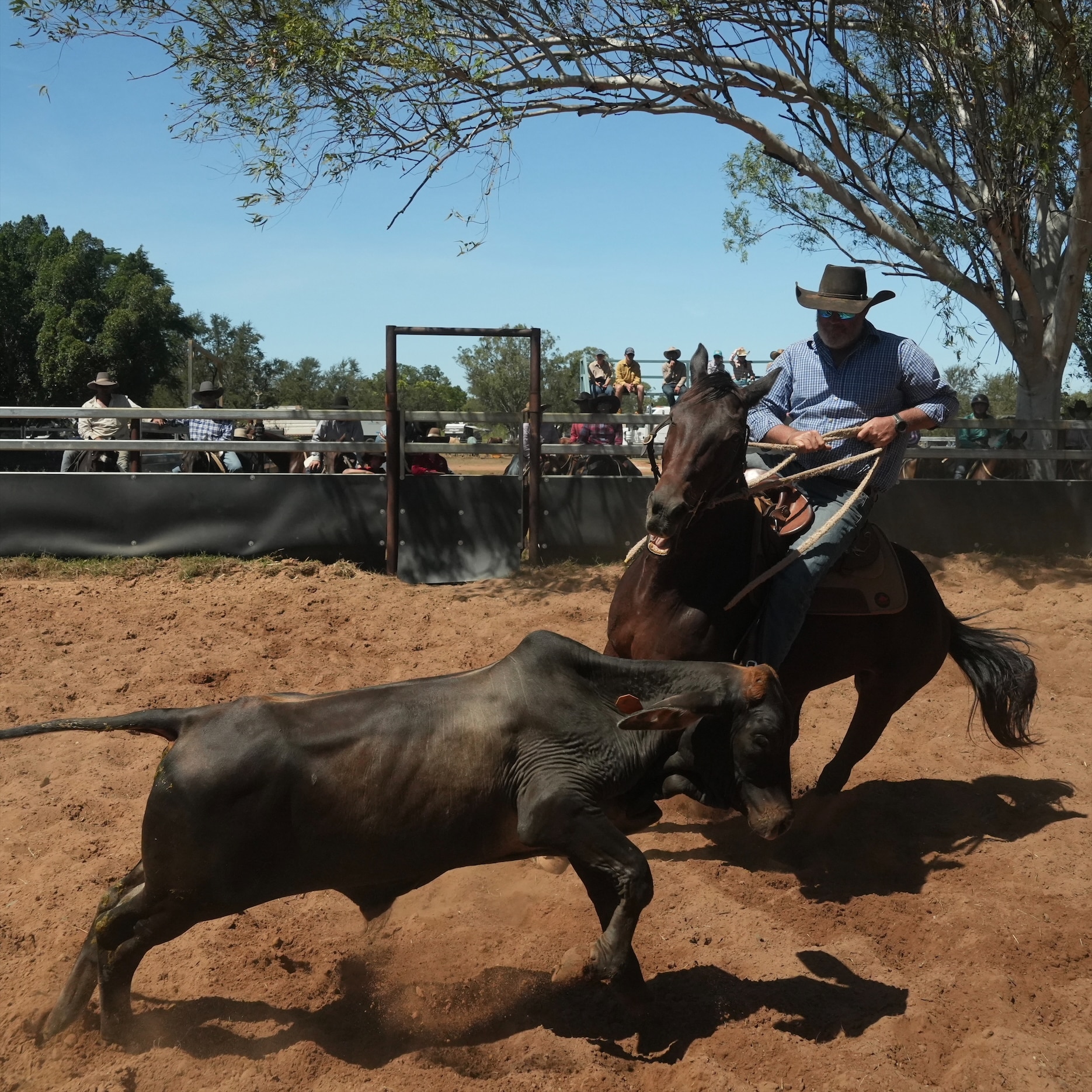 NT Country Hour - ABC listen