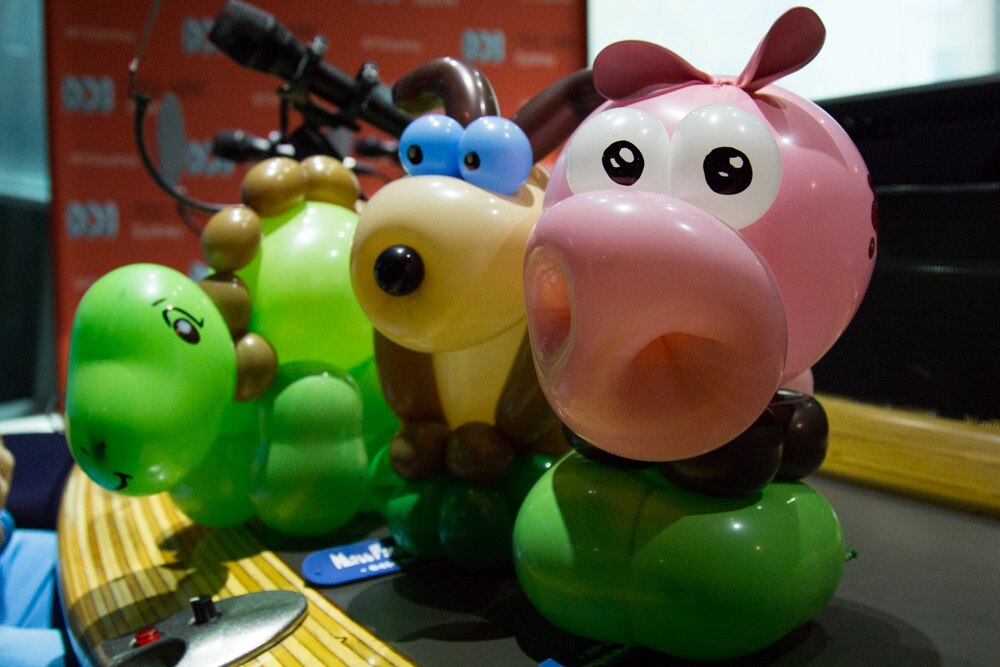 Watch Matt Falloon make a balloon - ABC News