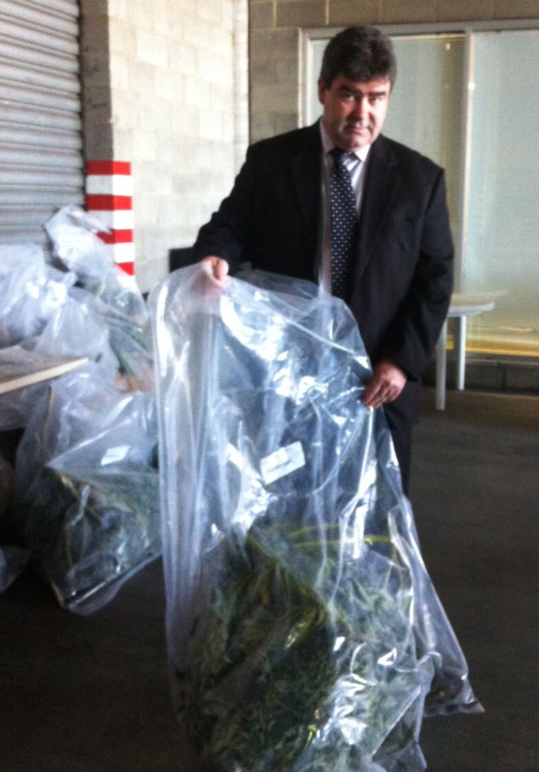 Police make huge cannabis bust in south-east Qld - ABC News