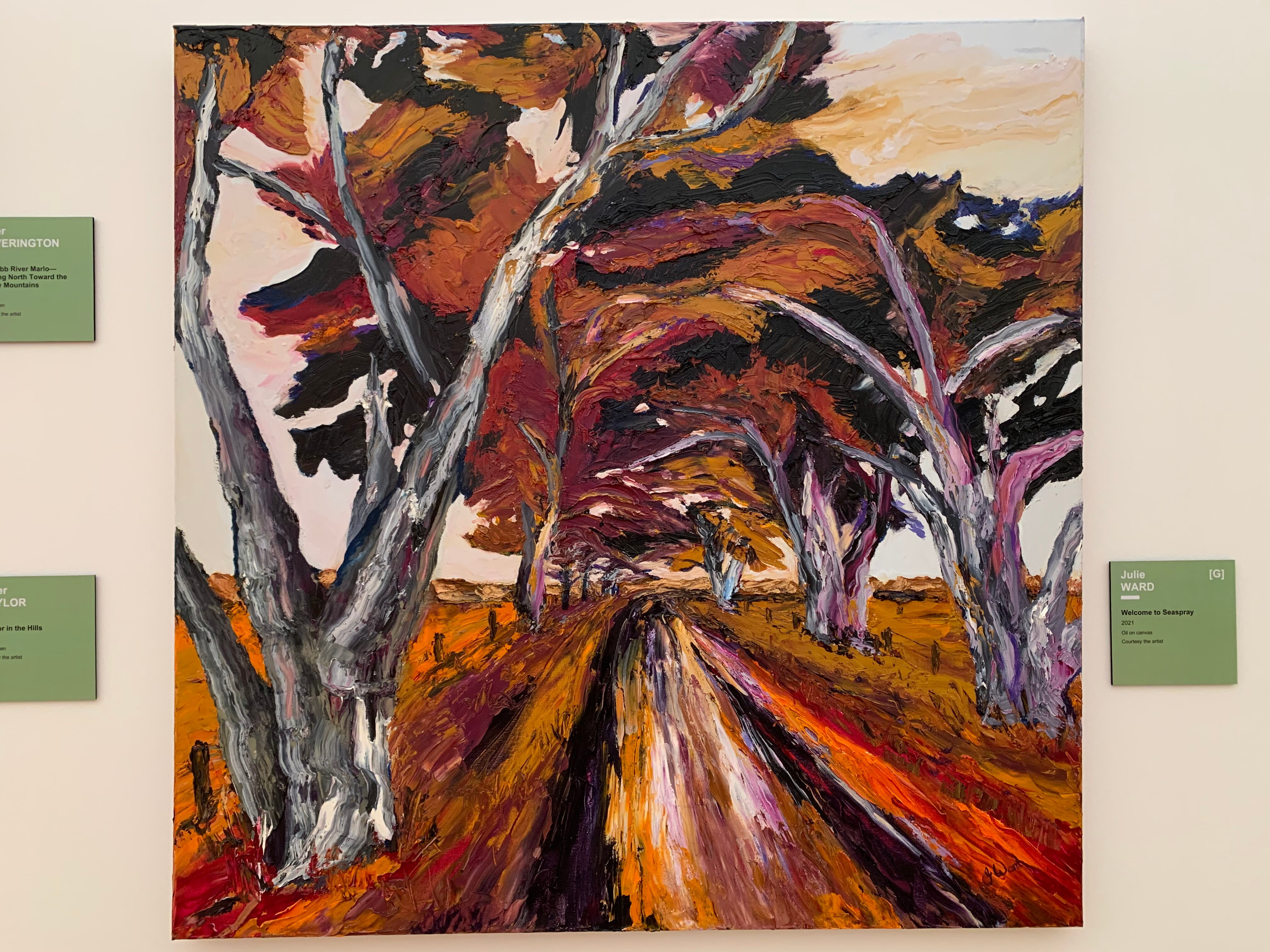 John Leslie Art Prize returns to Gippsland for 2022 with psychedelic colour - ABC News