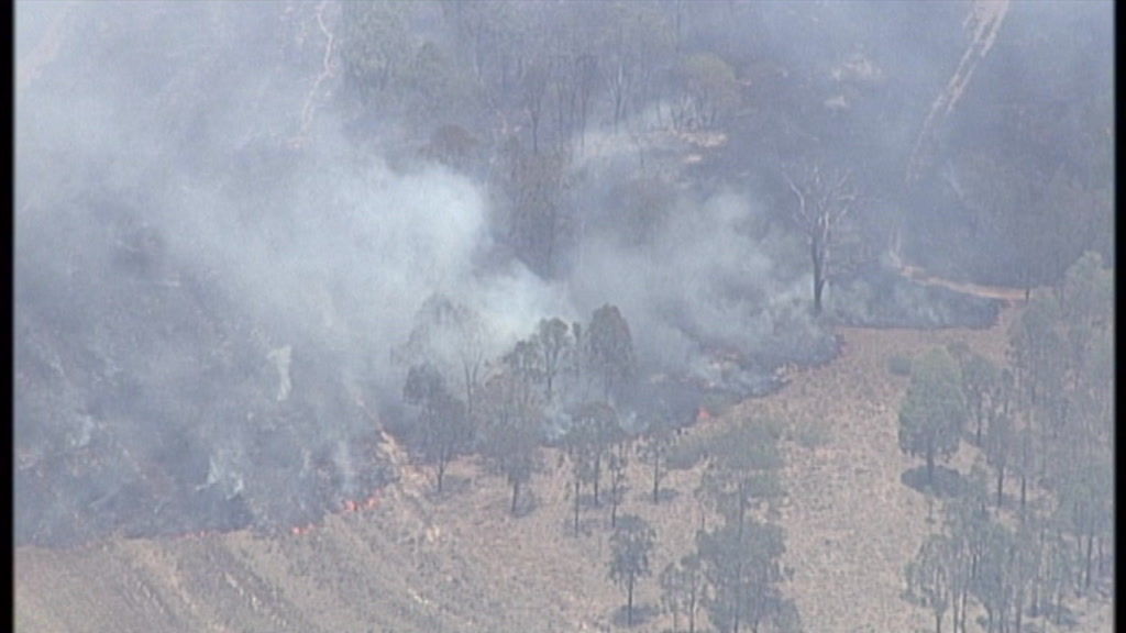 Fires continue to burn in Pechey, near Toowoomba in Queensland - ABC News