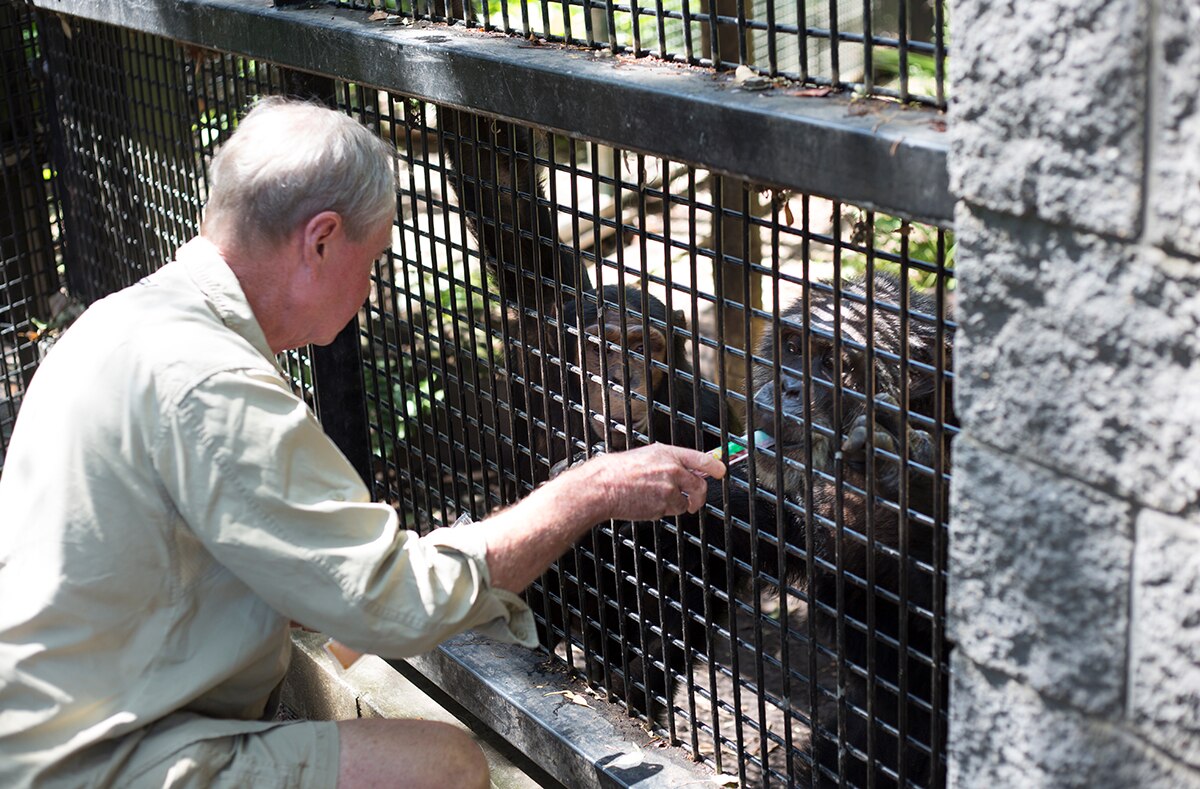 Queensland zookeeper reflects on a life with animals - ABC News