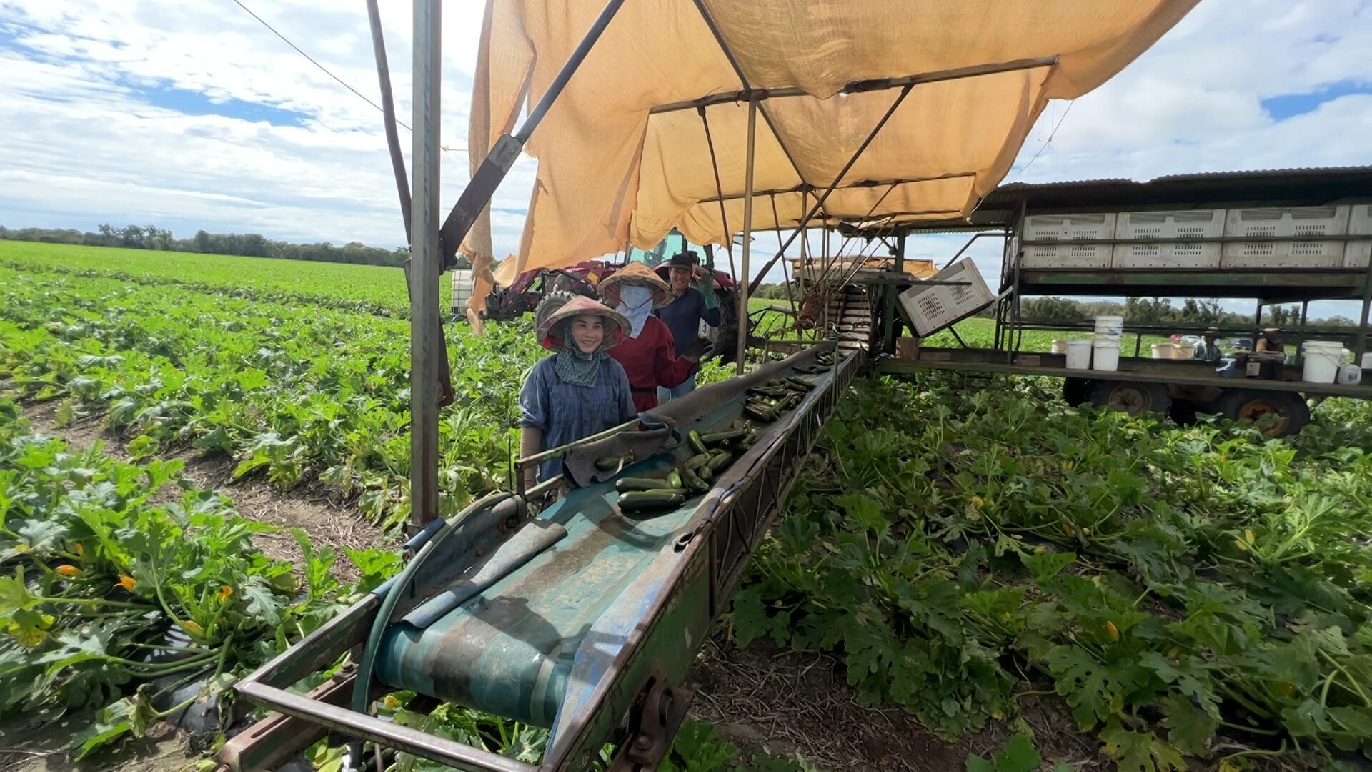 Calls for Govt to improve guidelines for seasonal workers accomodation ...