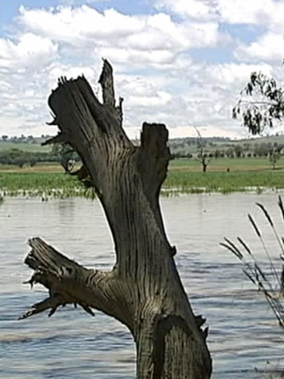Canowindra, floods, rain, Tony Grant - ABC News