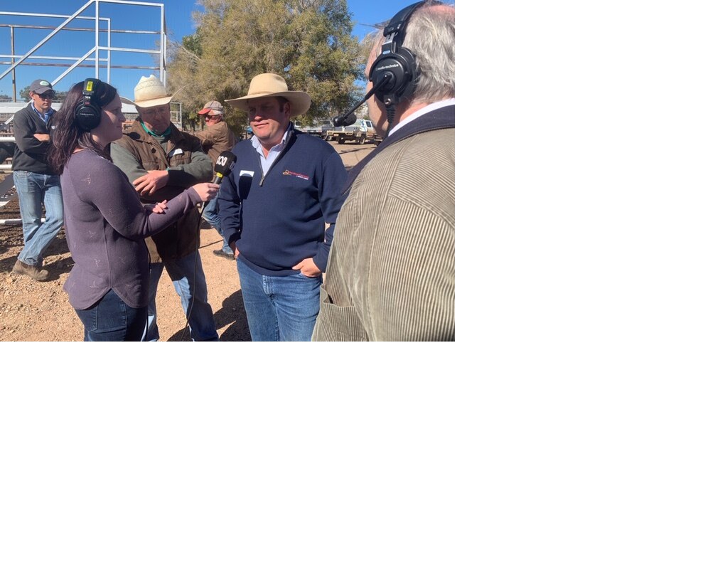 Gunnedah cattle farmers discussing the dry conditions - ABC listen