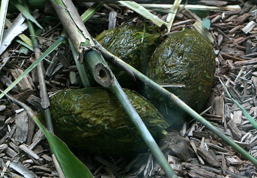 Panda poo gets gardeners' thumbs-up - ABC News